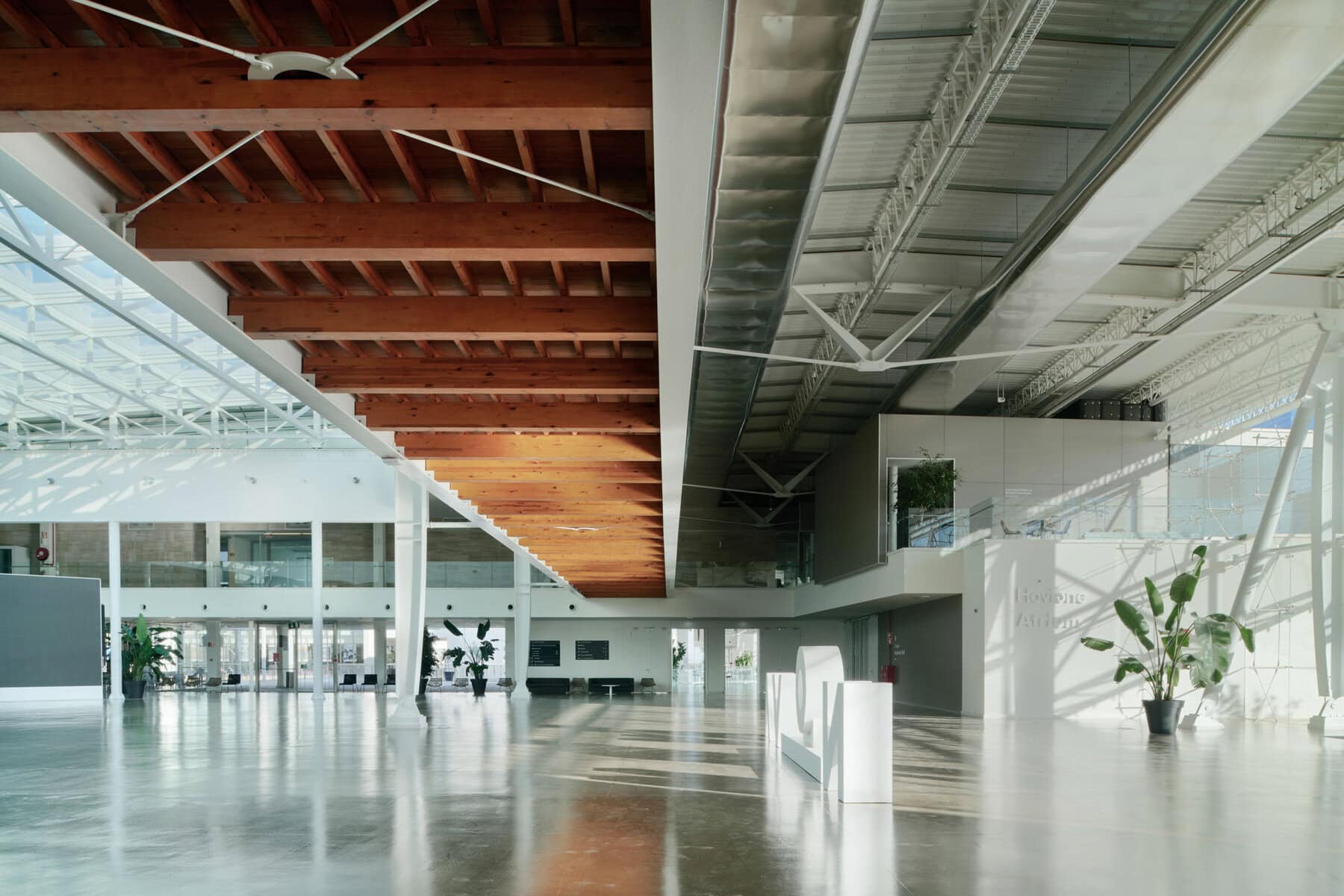 Master in Finance an der Nova School SBE: Kosten, Ranking & Dauer